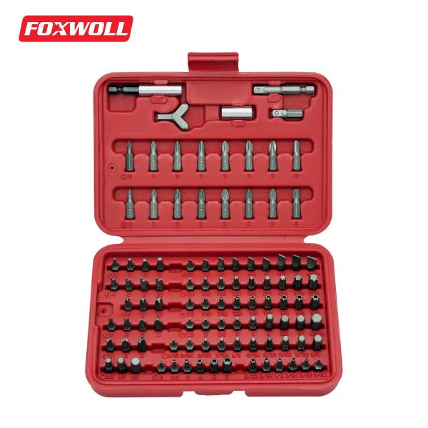 Screwdriver Bits 100 Pieces Security Bits Set All Types - FOXWOLL
