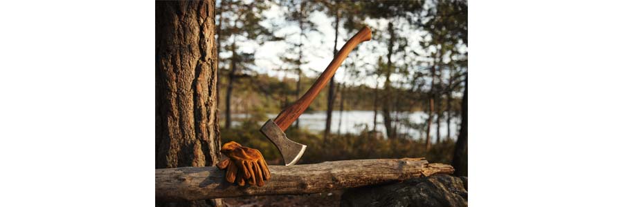 20 Different Types of Axe: A Comprehensive Guide (2026 Update)